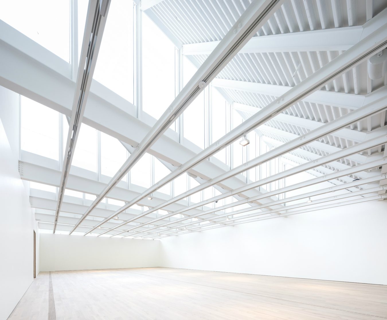 The Polygon Gallery | MONTECRISTO