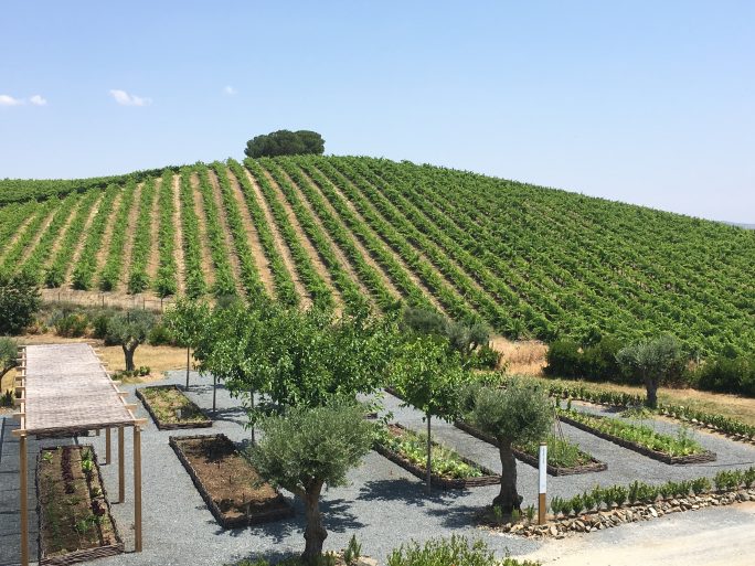 Marla Cimini, Author at MONTECRISTO | MONTECRISTO