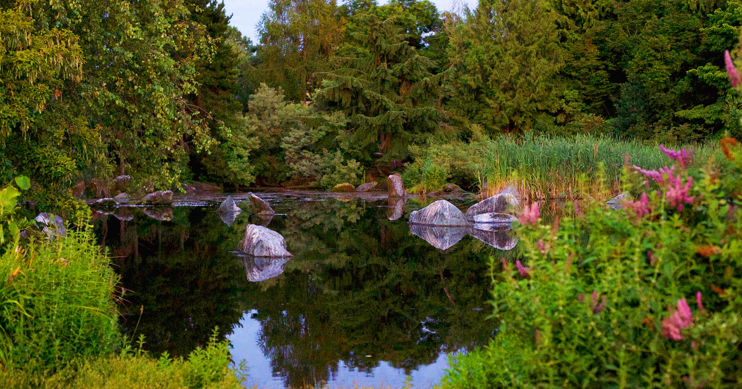 Easy Nature Walks and Scenic Strolls in Metro Vancouver | MONTECRISTO