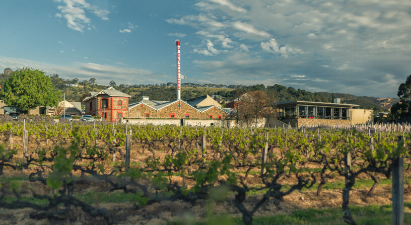 Meet the Chief Winemaker Behind Australia’s Iconic Penfolds and Its ...