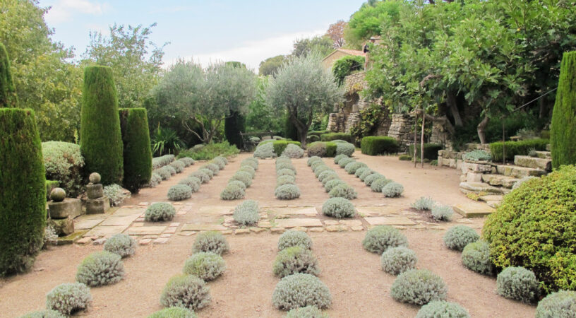 Gardening Lessons from the Quietly Stunning Landscapes of Provence ...