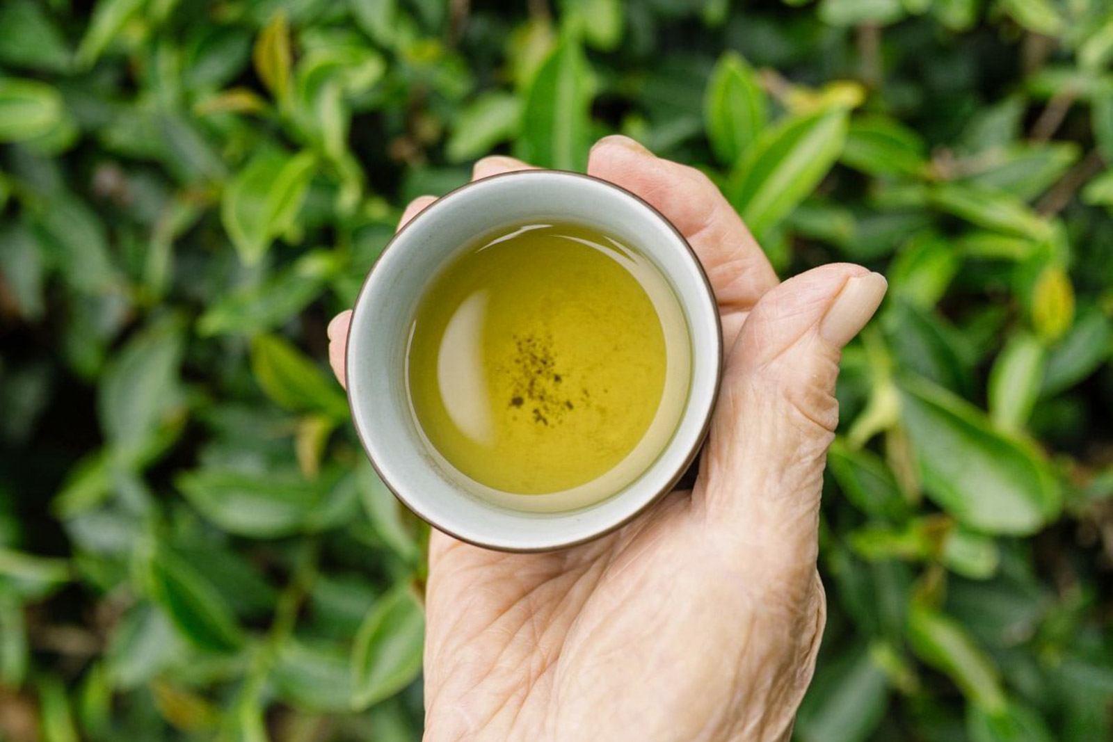 Love, Tea Fields, and My Taiwanese Grandma’s Selfless Devotion ...