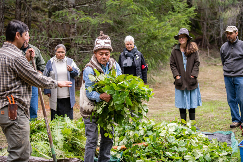 After a Century, a Coast Salish Pit Cook Rekindles a Tradition of Food ...