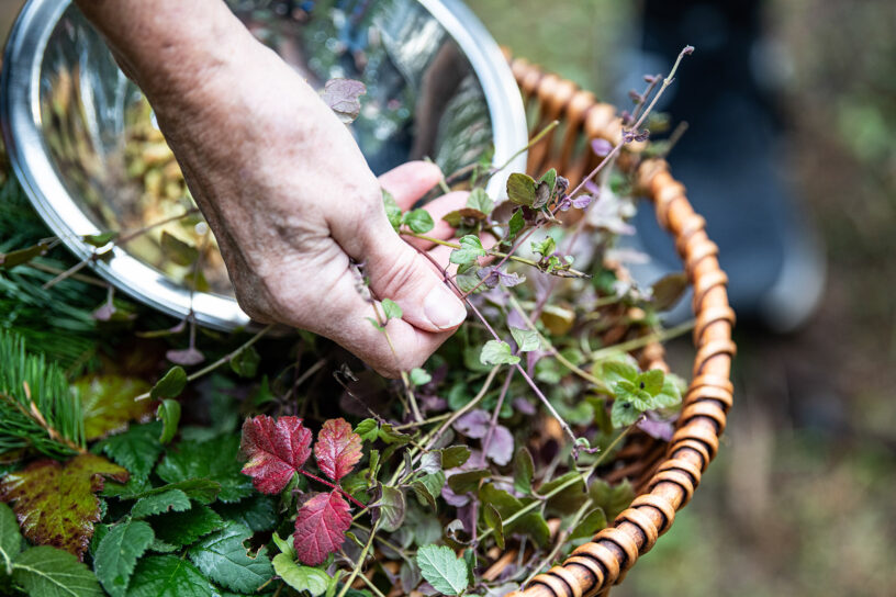 After a Century, a Coast Salish Pit Cook Rekindles a Tradition of Food ...