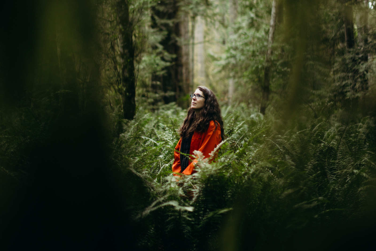 On the Hunt for British Columbia’s Largest Trees | MONTECRISTO