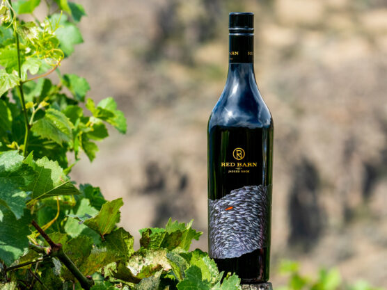 The Okanagan’s Red Barn Takes a No-Rules Approach to Experimental Wine ...