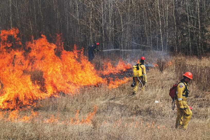 Looking Back at Canada’s Unprecedented 2023 Wildfire Season | MONTECRISTO